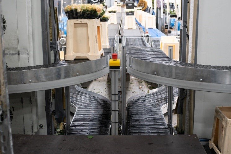 The many uses of the AmbaVeyor | AmbaFlex Spiral Conveyors