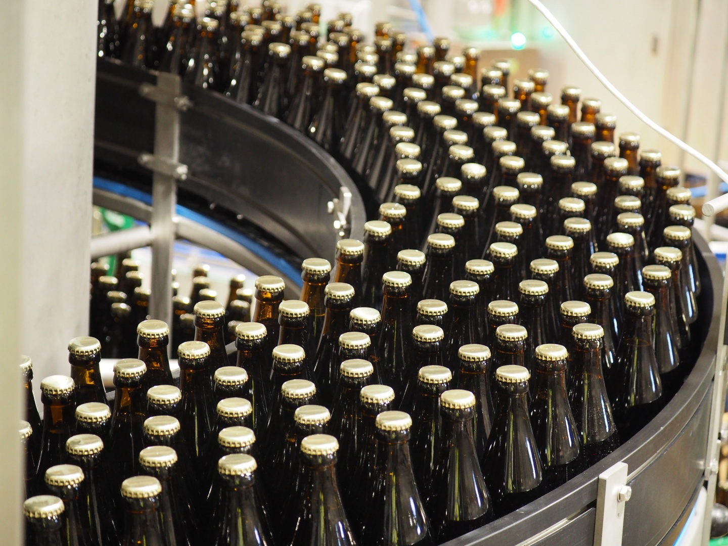 AmbaFlex | Bottling mass flow, single file and liquid container ...